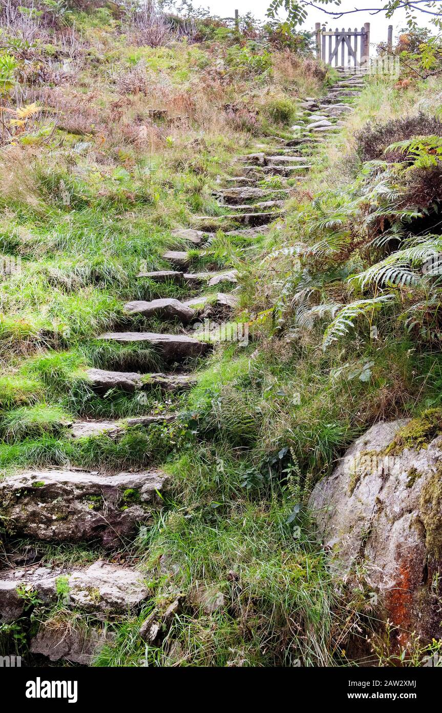 Natural steps and a path leading to a gate in an idyllic country scene ...
