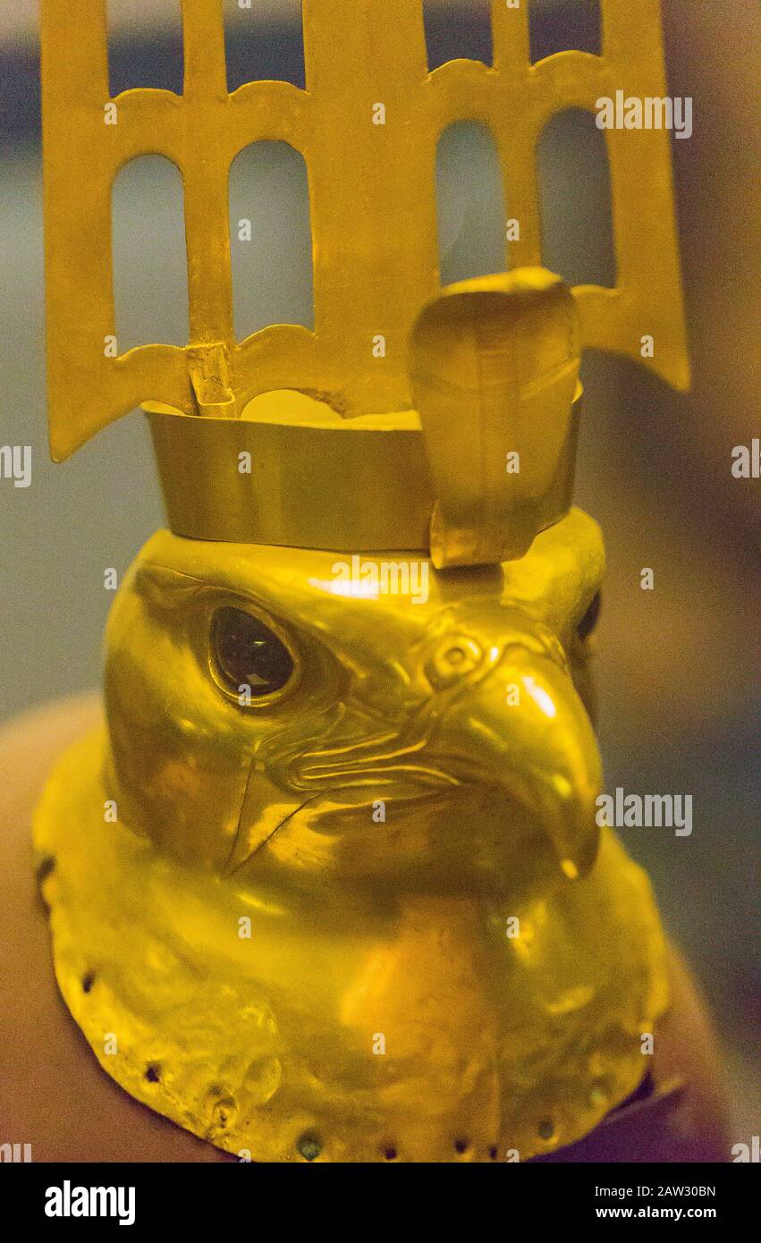 Egypt, Cairo, Egyptian Museum, head of a hawk in gold, from ...