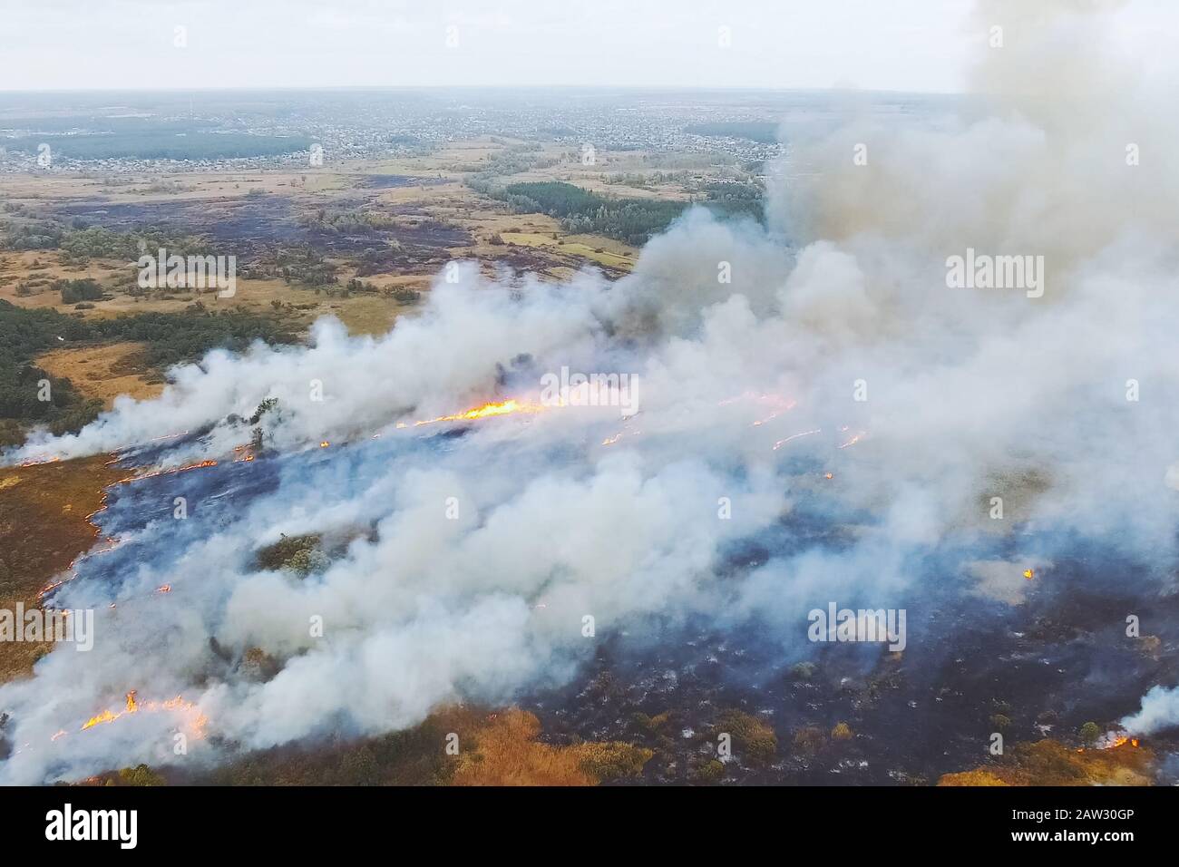 Forest fire, smoke of the surrounding area. smoke and fire Stock Photo ...