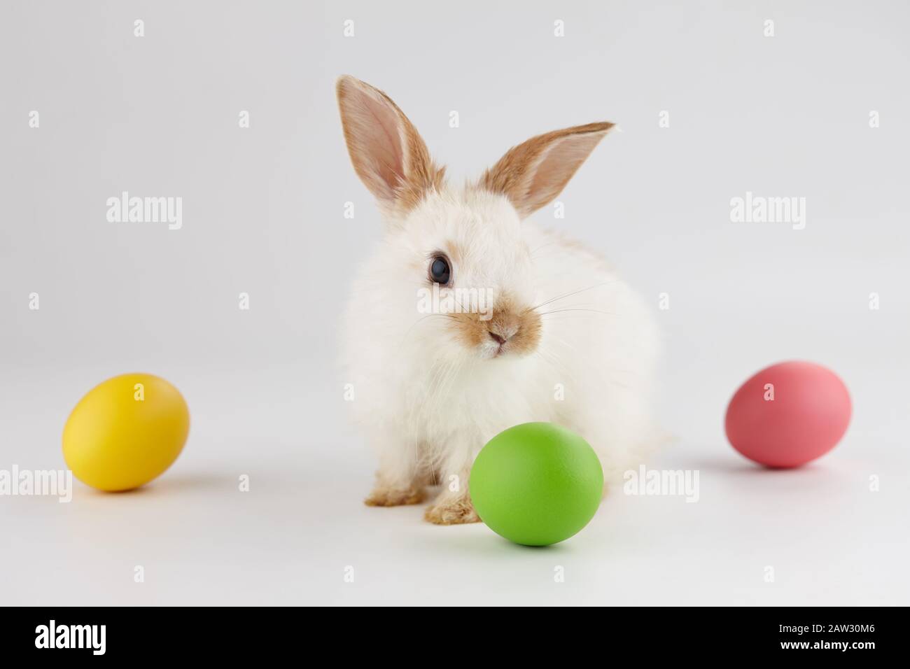 Colorful eggs hi-res stock photography and images - Alamy