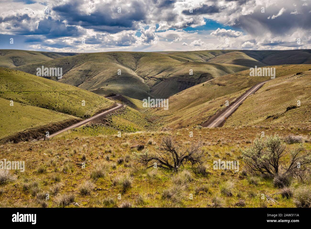 Highway OR-206 crossing hills around Six Mile Canyon at Umatilla ...