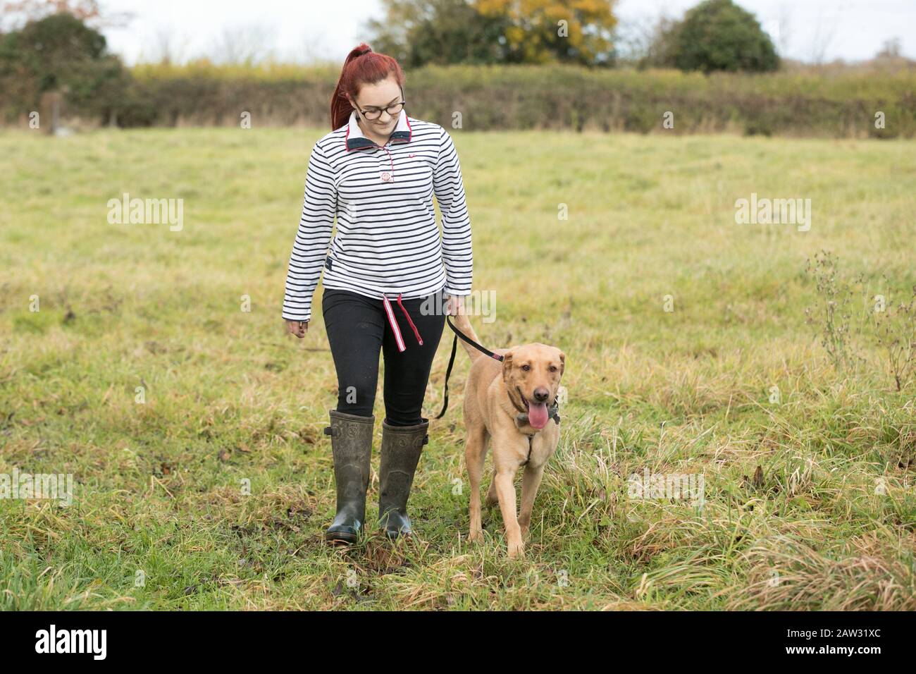 Woman walking her dog Stock Photo - Alamy