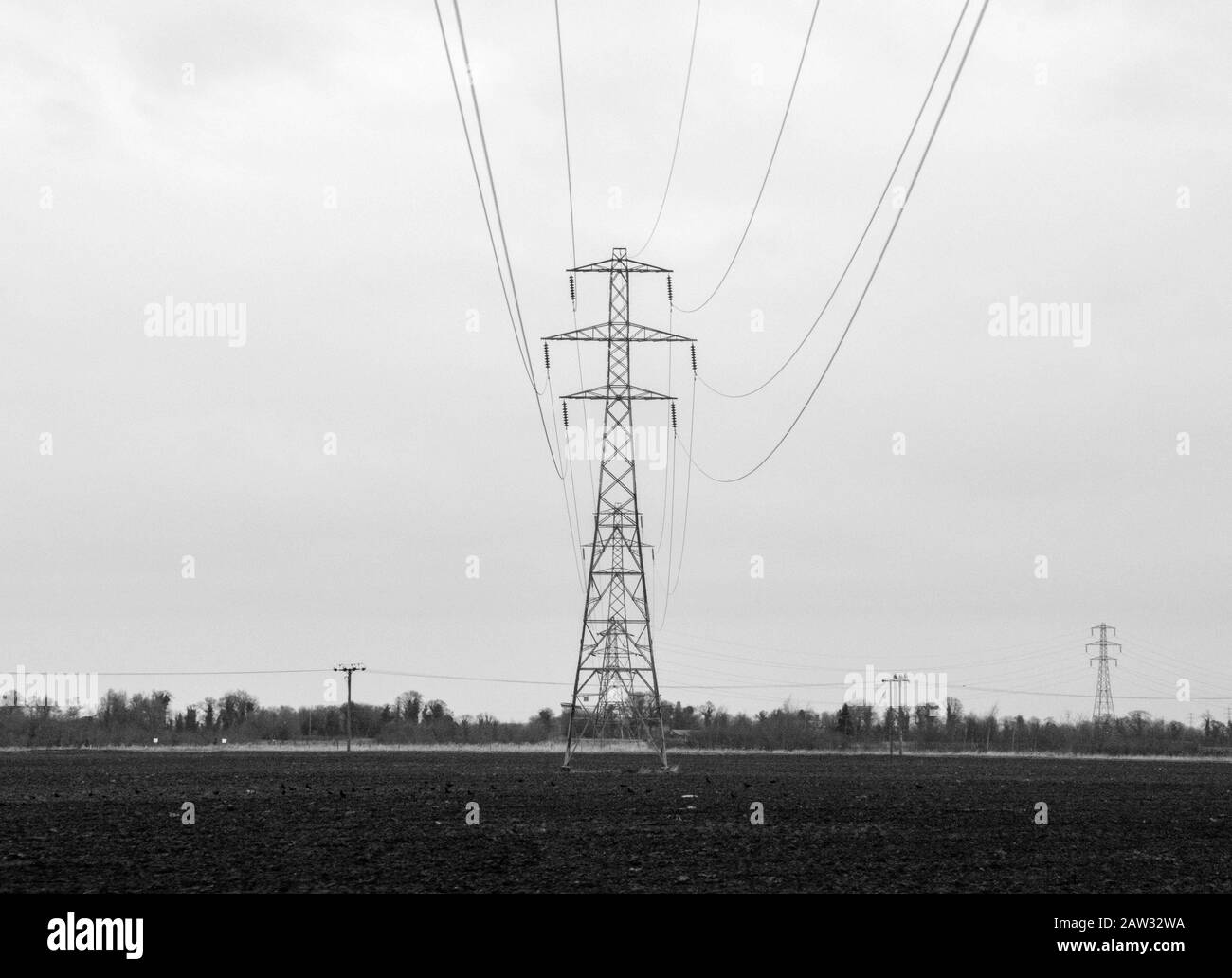 A row of electricity pylons stretch across the countryside, in the ...
