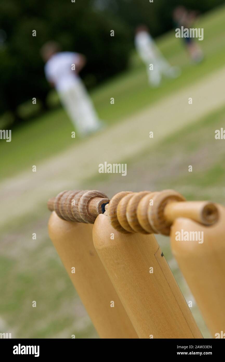 Cricket stumps hi-res stock photography and images - Alamy