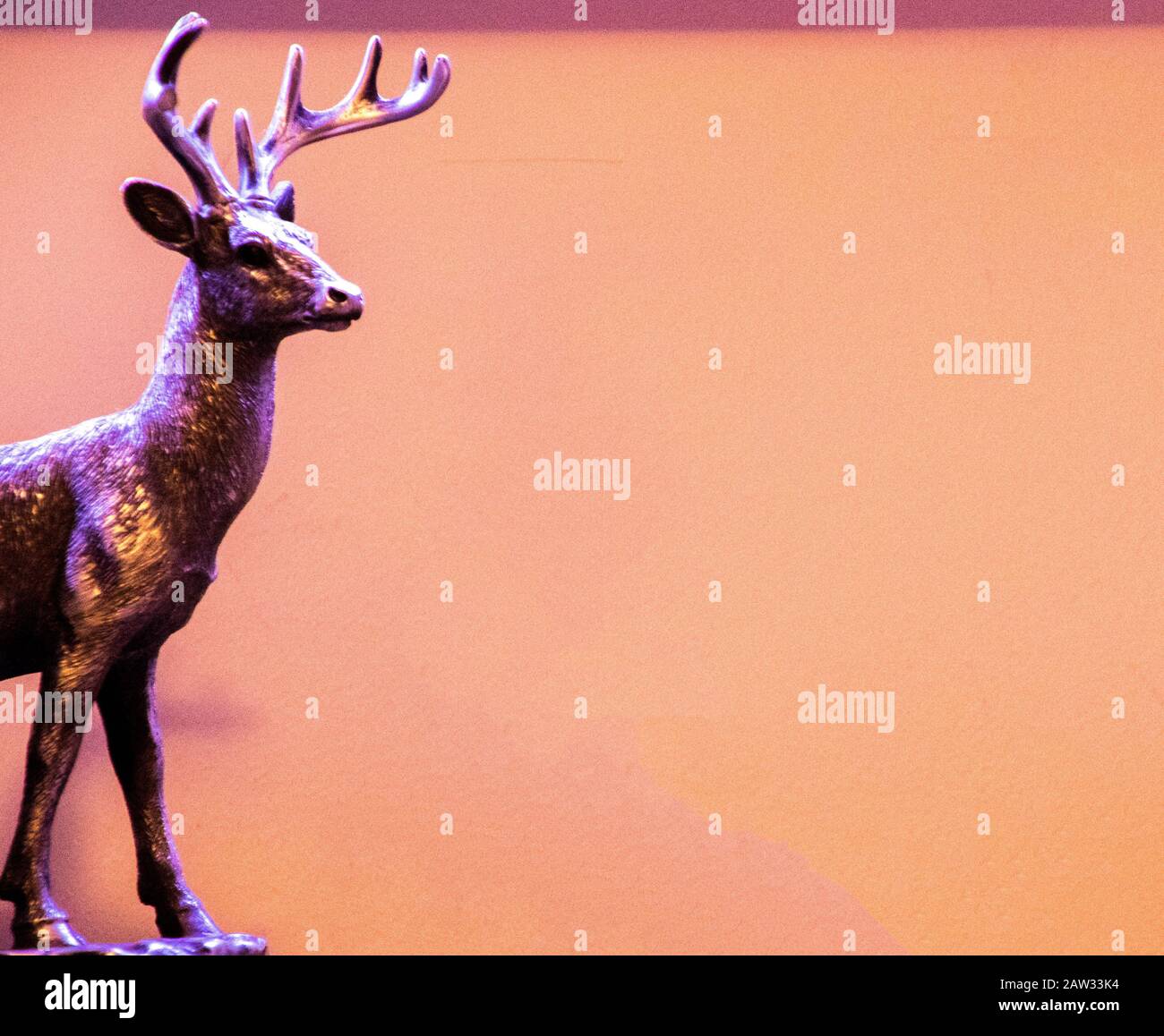 Beautiful stag hi-res stock photography and images - Alamy