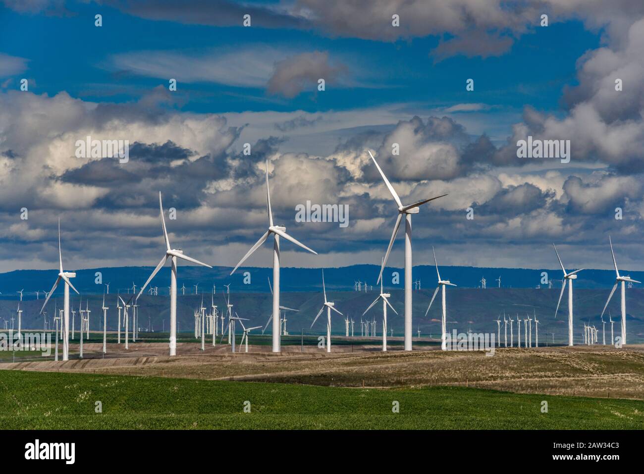 Wind farms at Umatilla Plateau, part of Columbia Plateau, near Grass ...