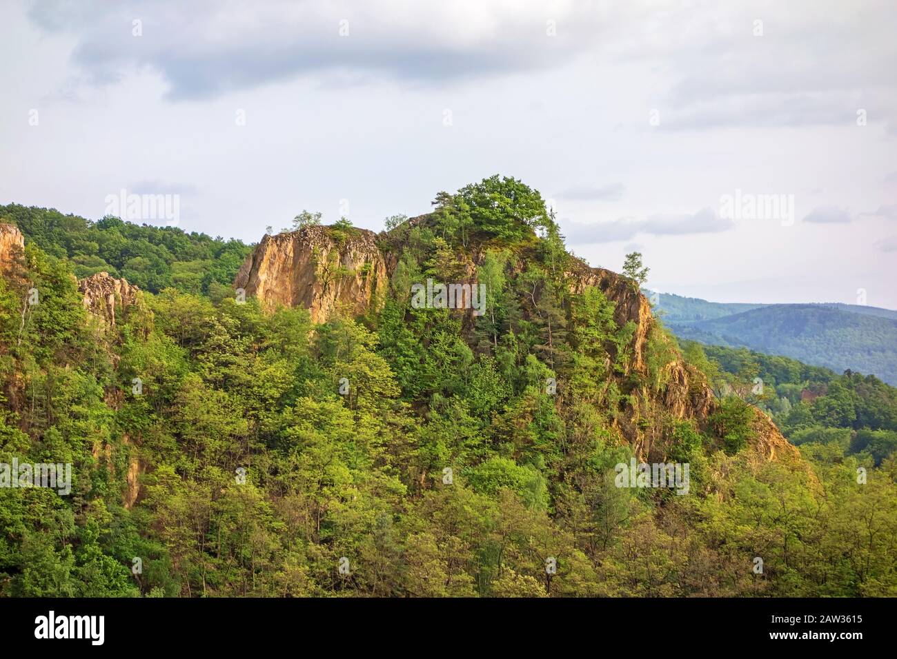Impressive rocks with trees in the forest Stock Photo - Alamy