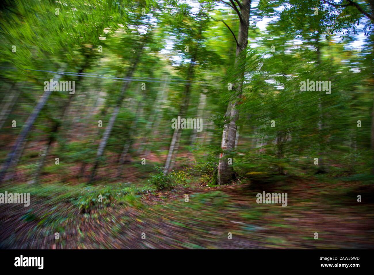 Tema pattern hi-res stock photography and images - Alamy