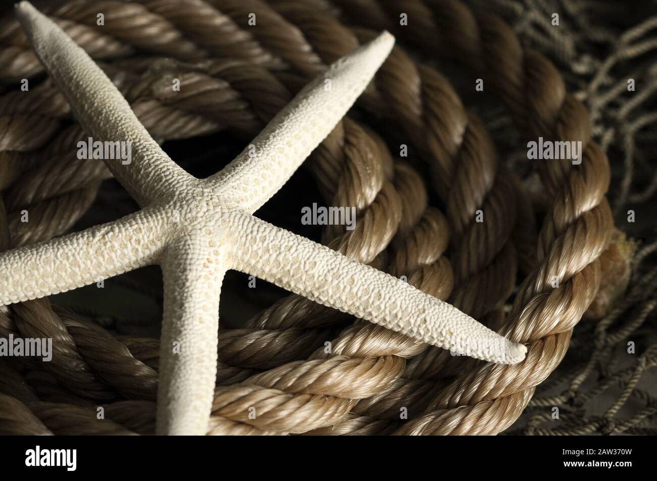 Marline rope hi-res stock photography and images - Alamy