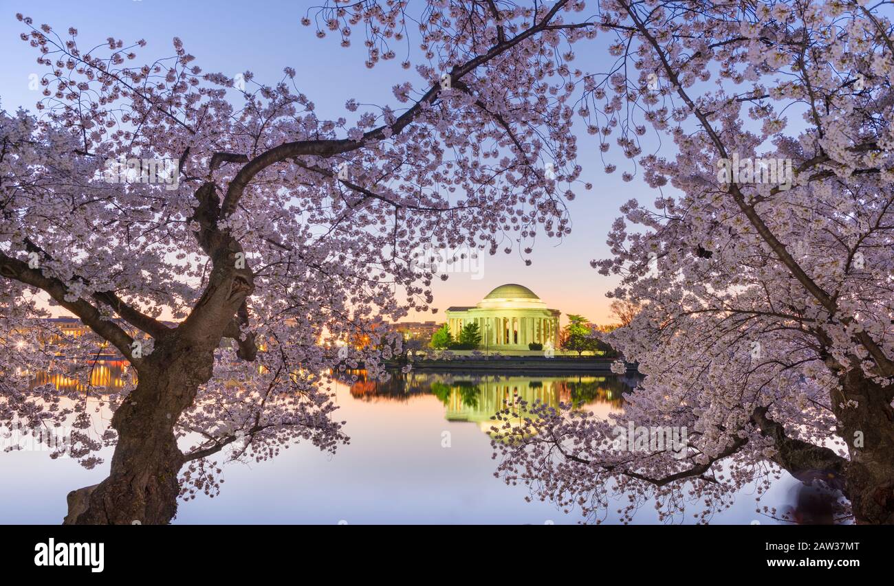 Washington, DC at the Tidal Basin and Jefferson Memorial during spring ...