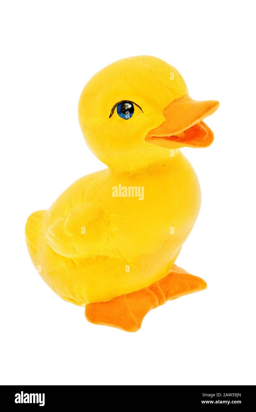 yellow duck isolated on white background Stock Photo - Alamy