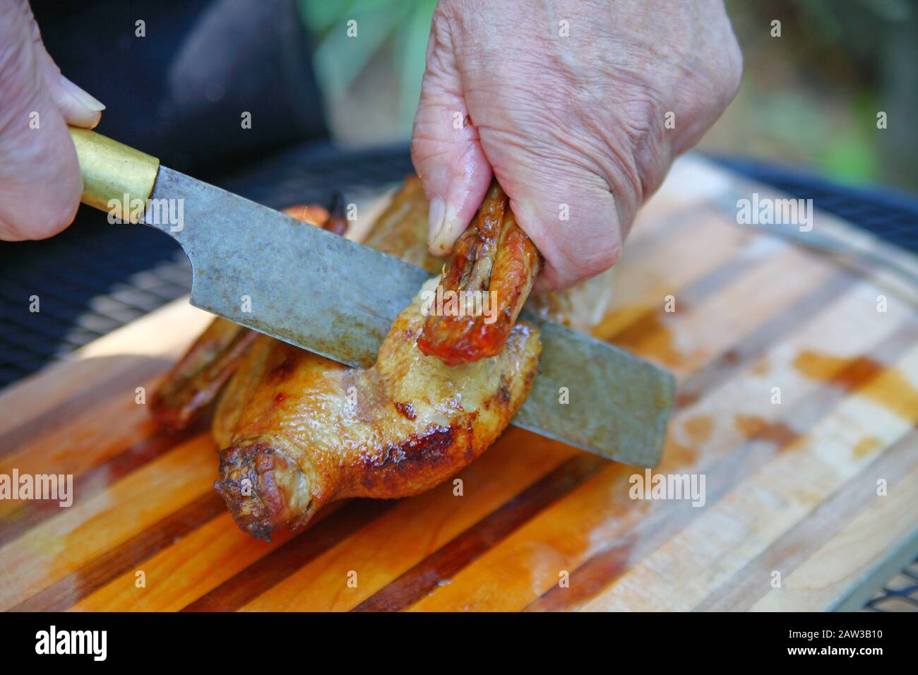 Older man cutting up duck outdoors Stock Photo - Alamy