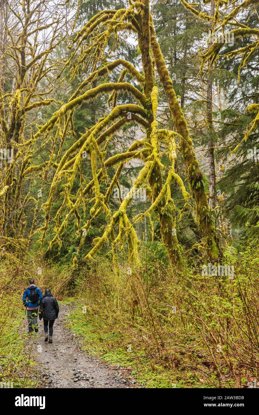 Serene trail hi-res stock photography and images - Alamy