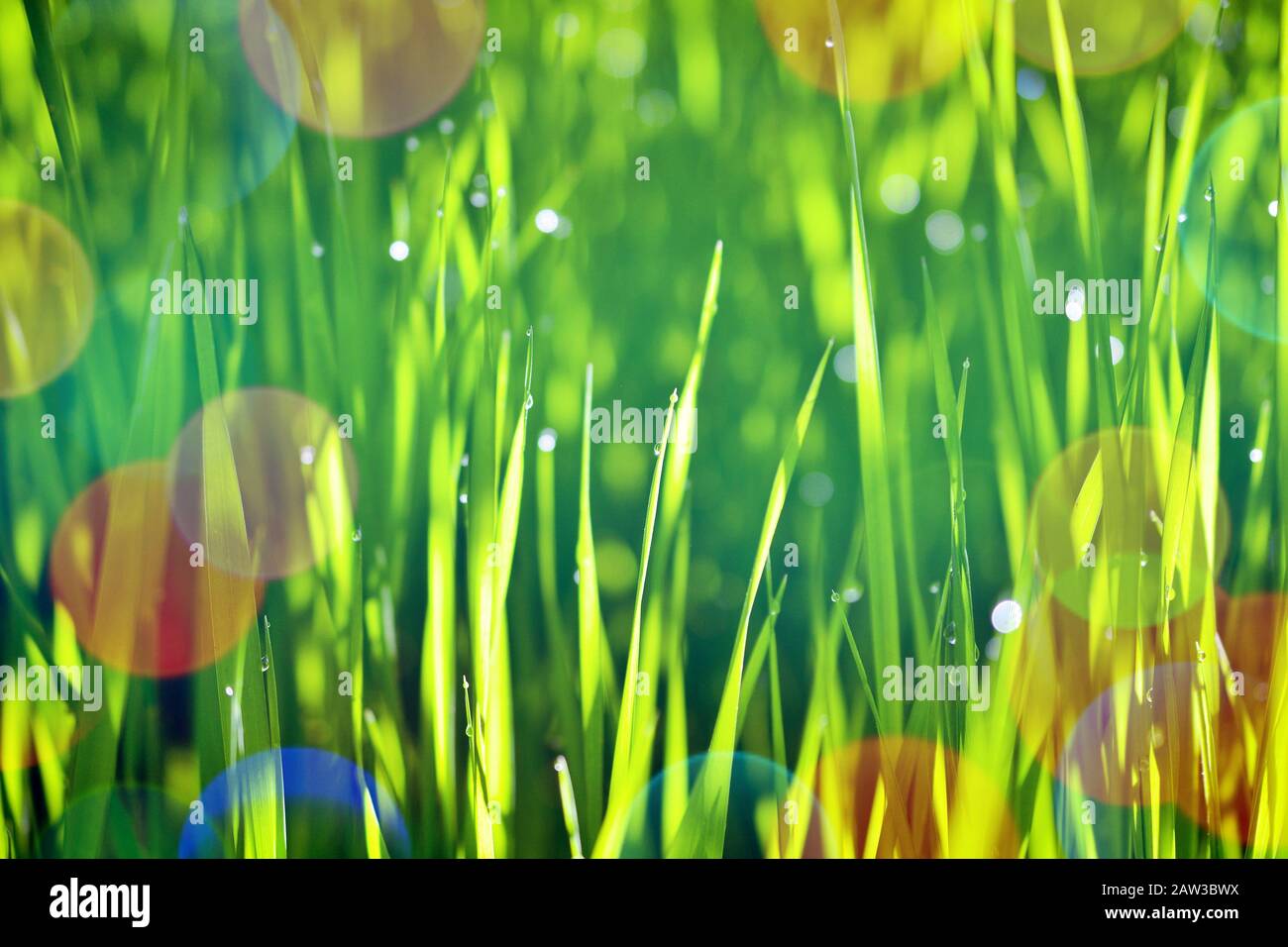 colors of abstract background wallpaper cgi, image of a Stock Photo - Alamy