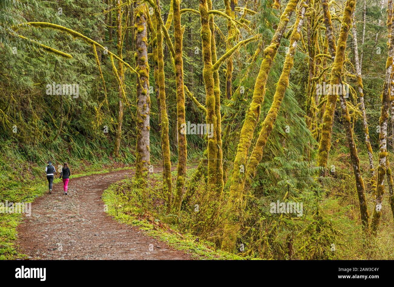 Serene trail hi-res stock photography and images - Alamy