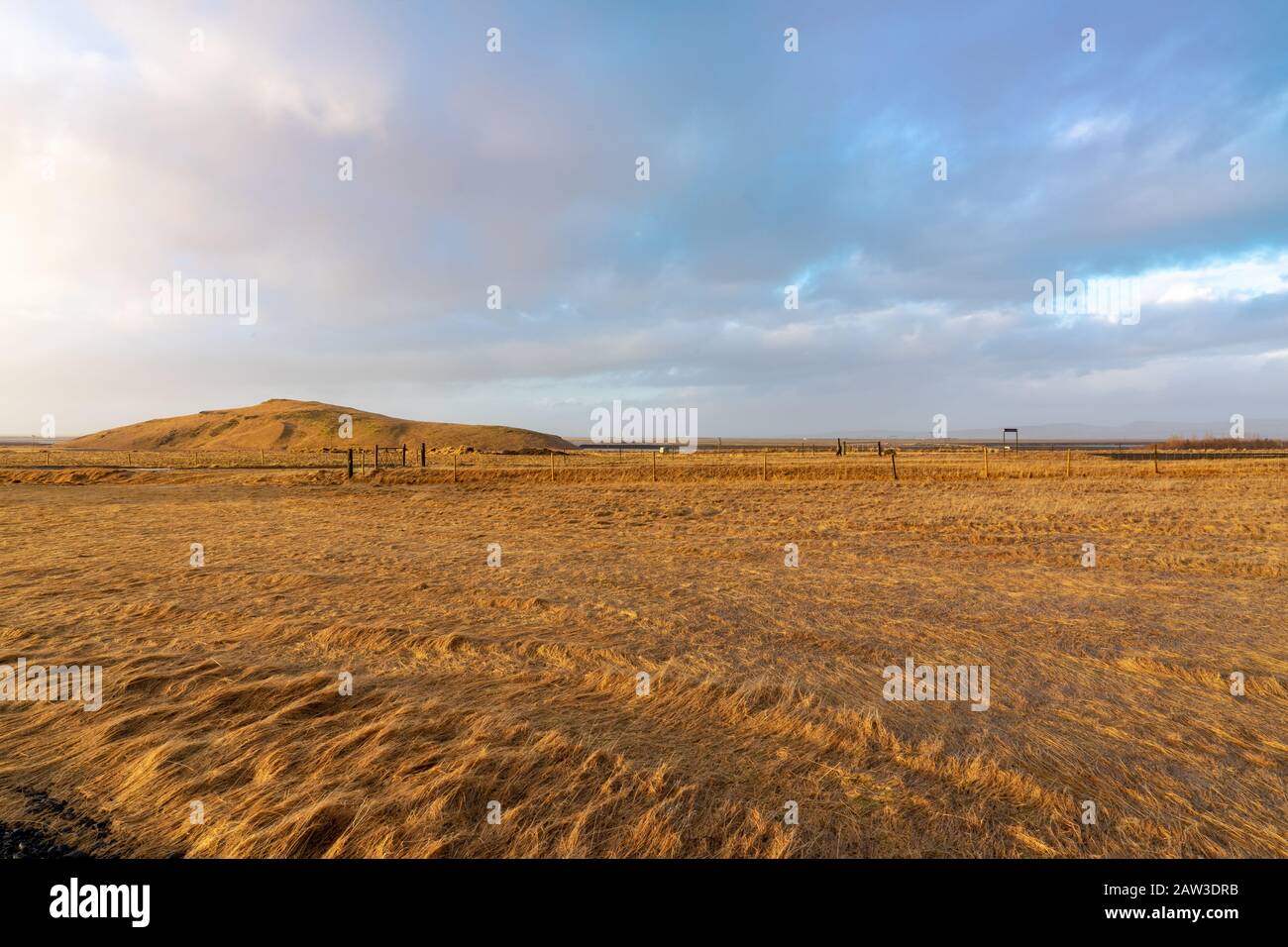 Golden land hi-res stock photography and images - Alamy