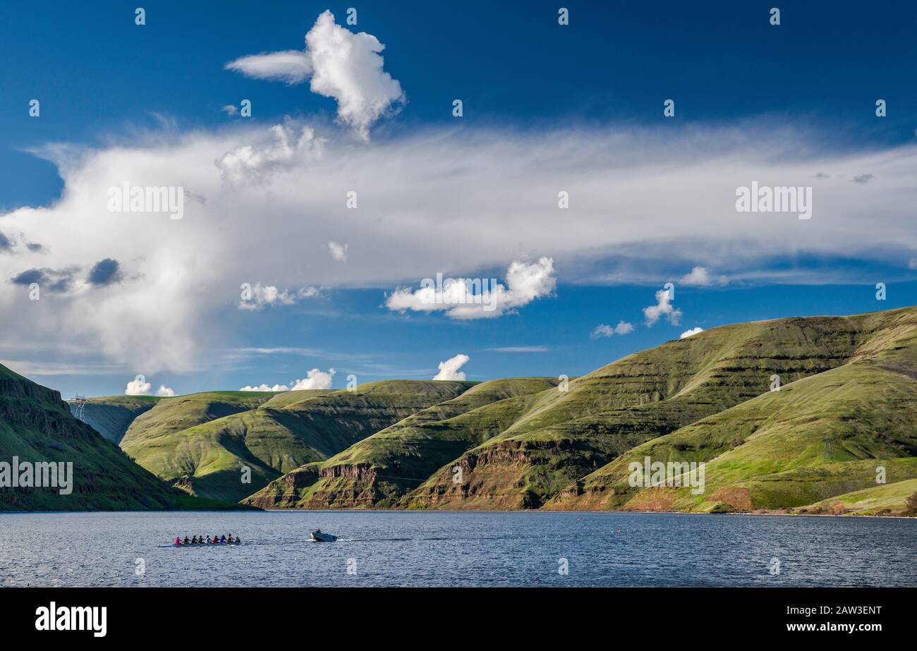 WSU Cougar rowing team at Lower Granite Lake in Snake River Canyon ...