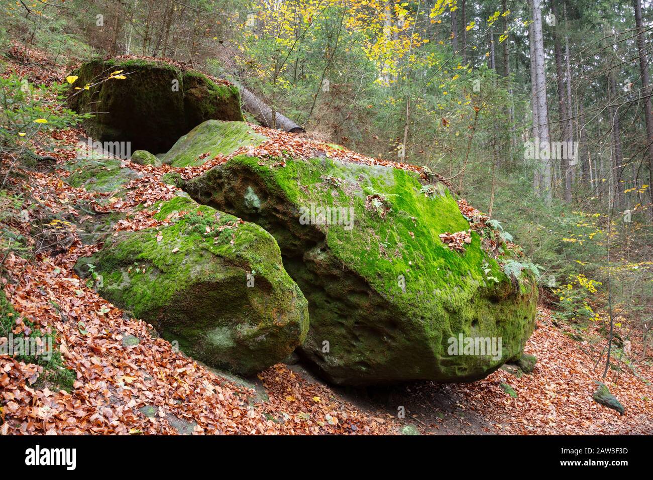 Rocks at the Kirnitzschtal, Elbe Sandstone Mountains, Saxon Switzerland ...