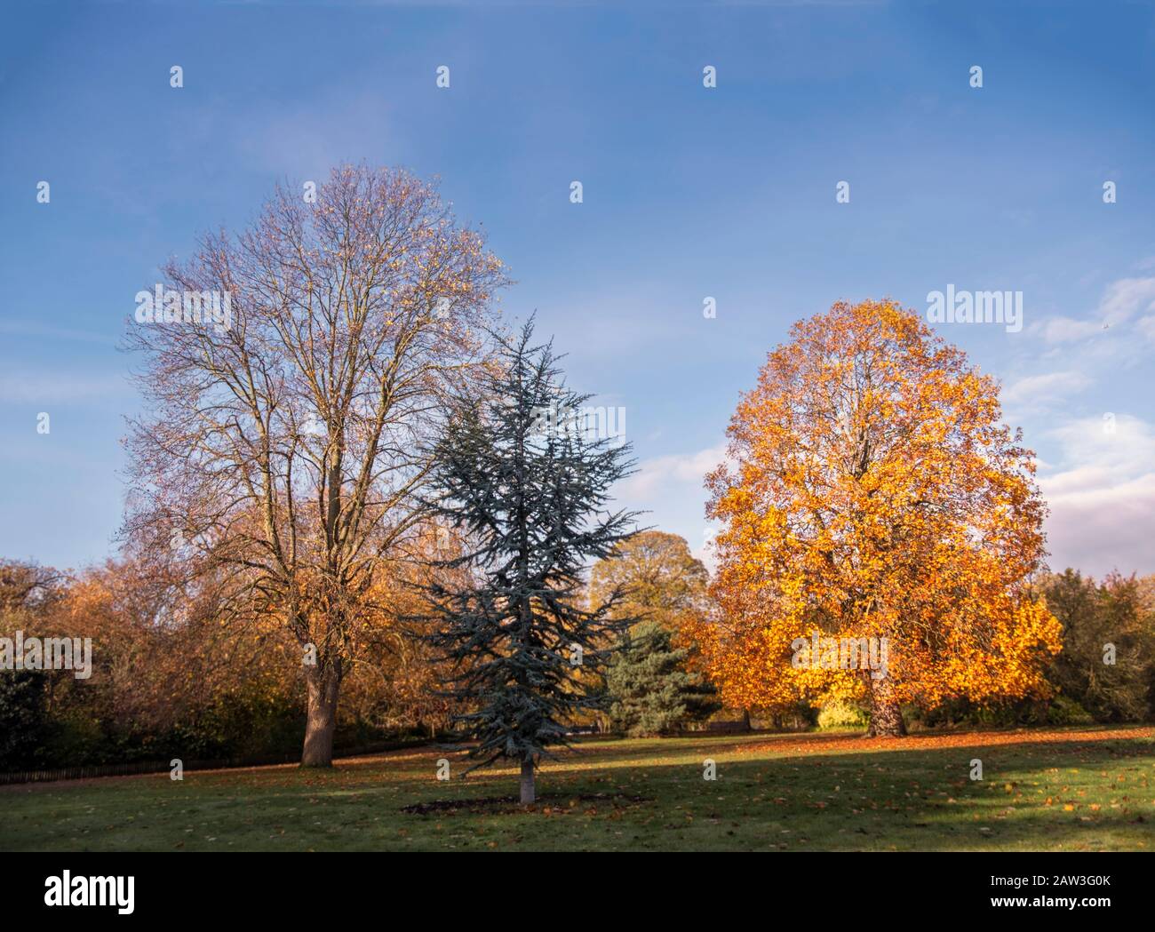 Greenwich people autumn hi-res stock photography and images - Alamy