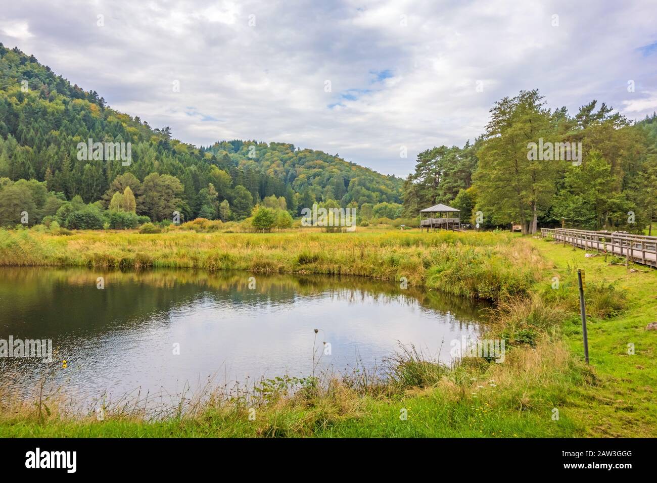 idyllic green forest landscape with pond in the foreground Stock Photo ...
