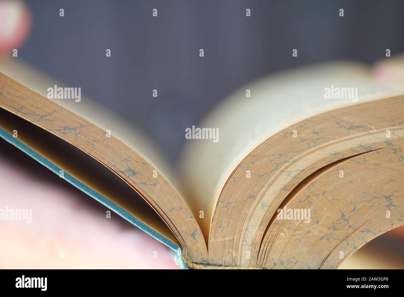 Decorative page edges of an old book held by a man Stock Photo - Alamy