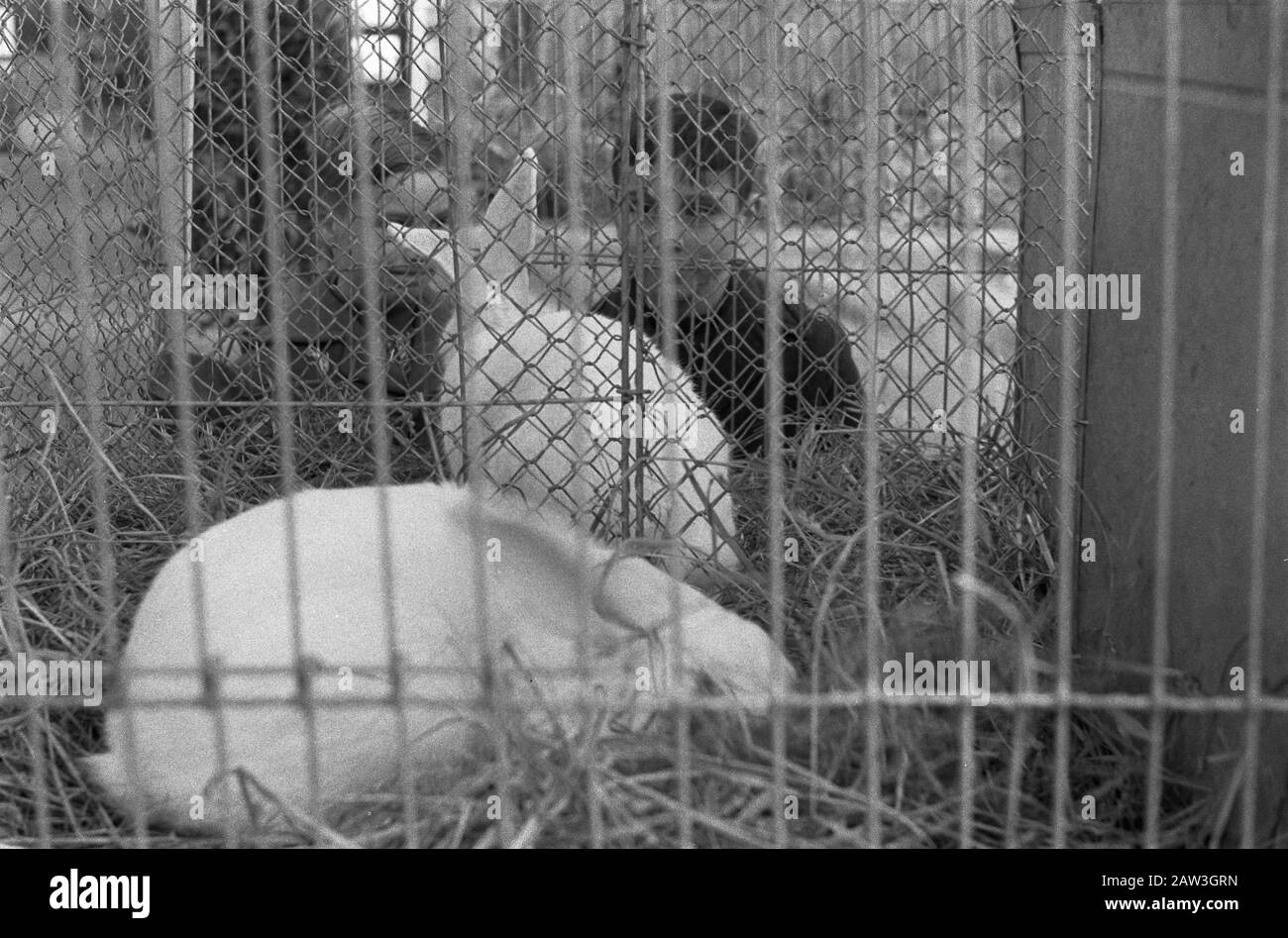 Bernhardhal hi-res stock photography and images - Alamy