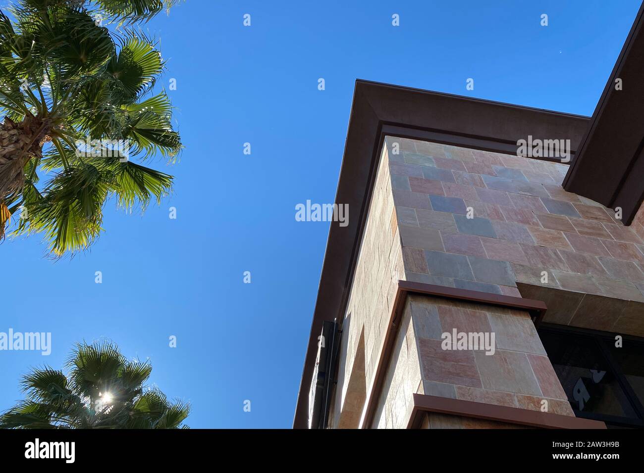 a palm tree in a blue sky next to a building roof corner Stock Photo ...