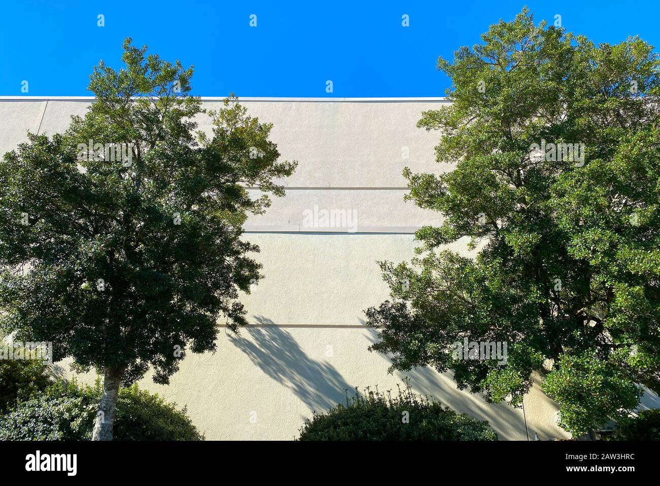 Minimalist facade green building hi-res stock photography and images ...