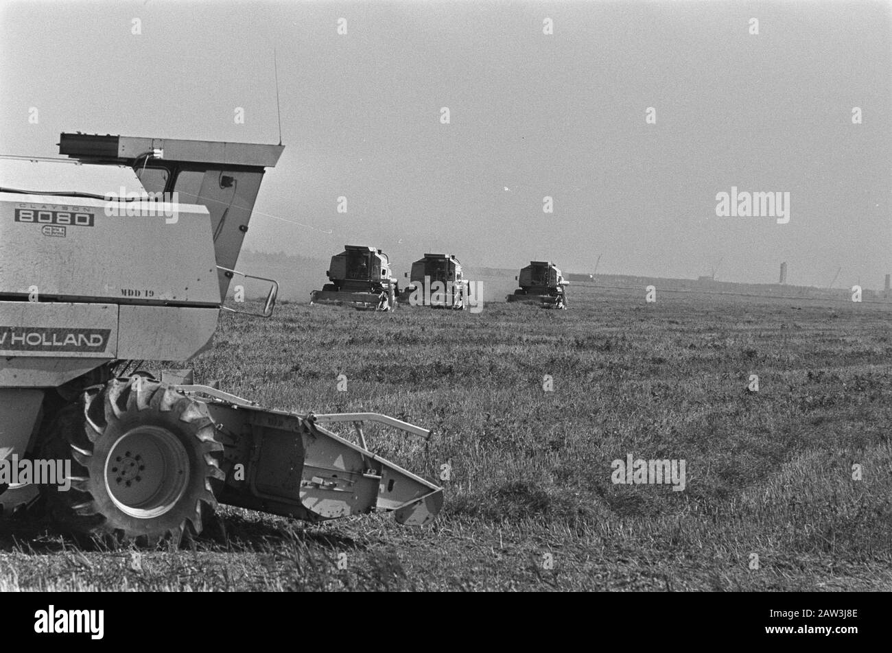 Rapeseed Harvesting in Southern Flevoland Date: August 9, 1985 Stock ...