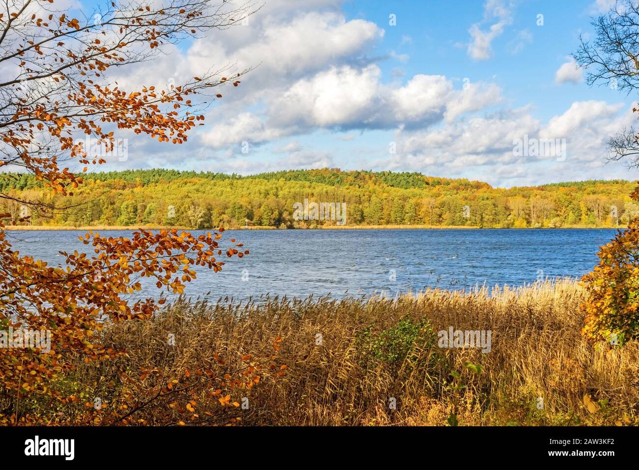 View over lake Wannsee in autumn - colorful forest landscape Stock ...