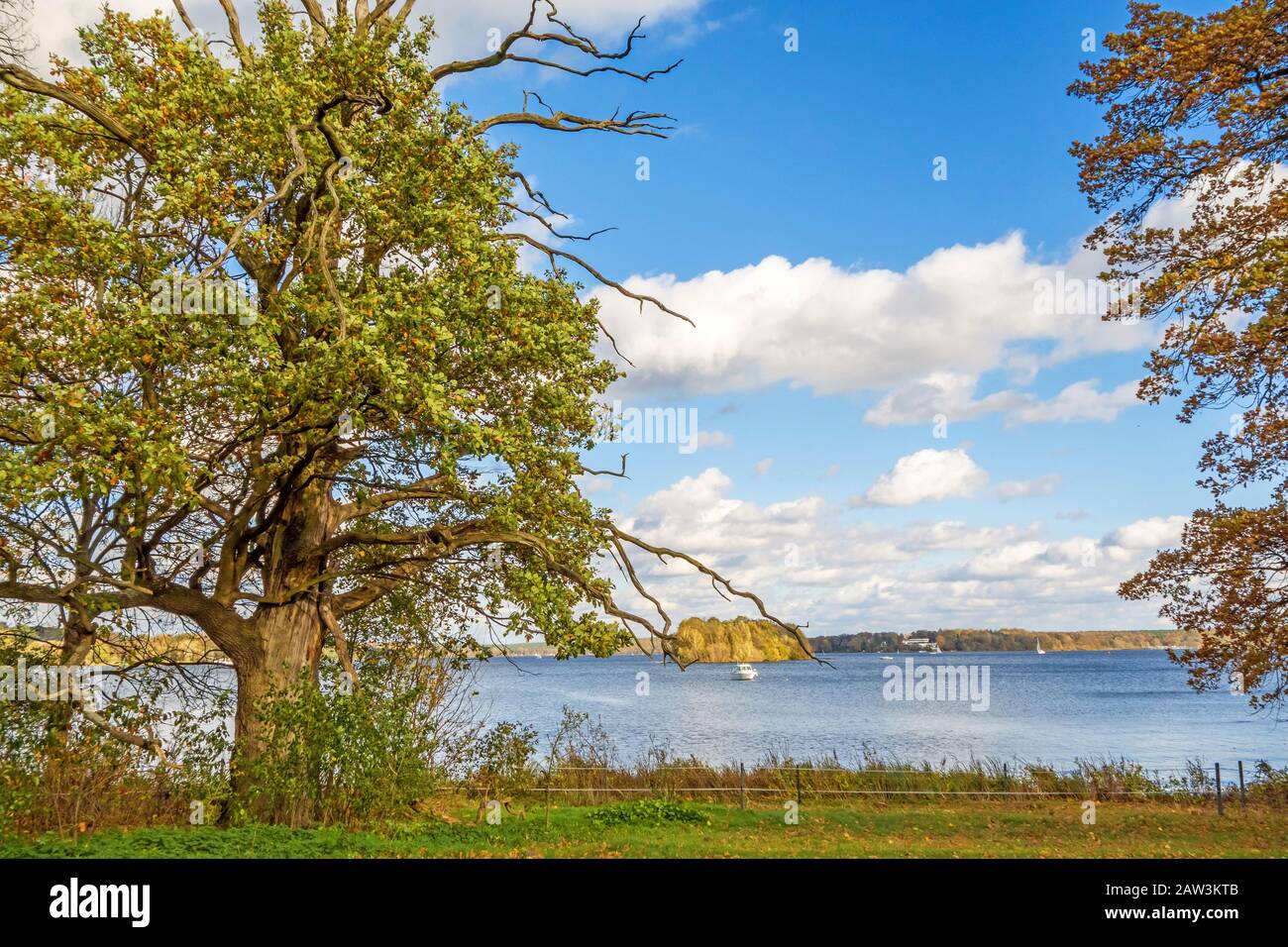 View over lake Wannsee in autumn with green tree on the left Stock ...