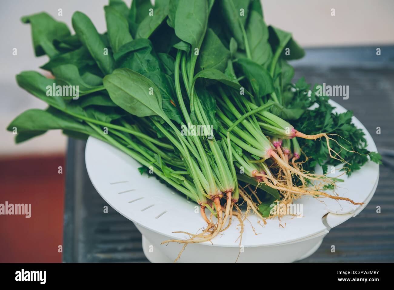 Chinese Baby Spinach