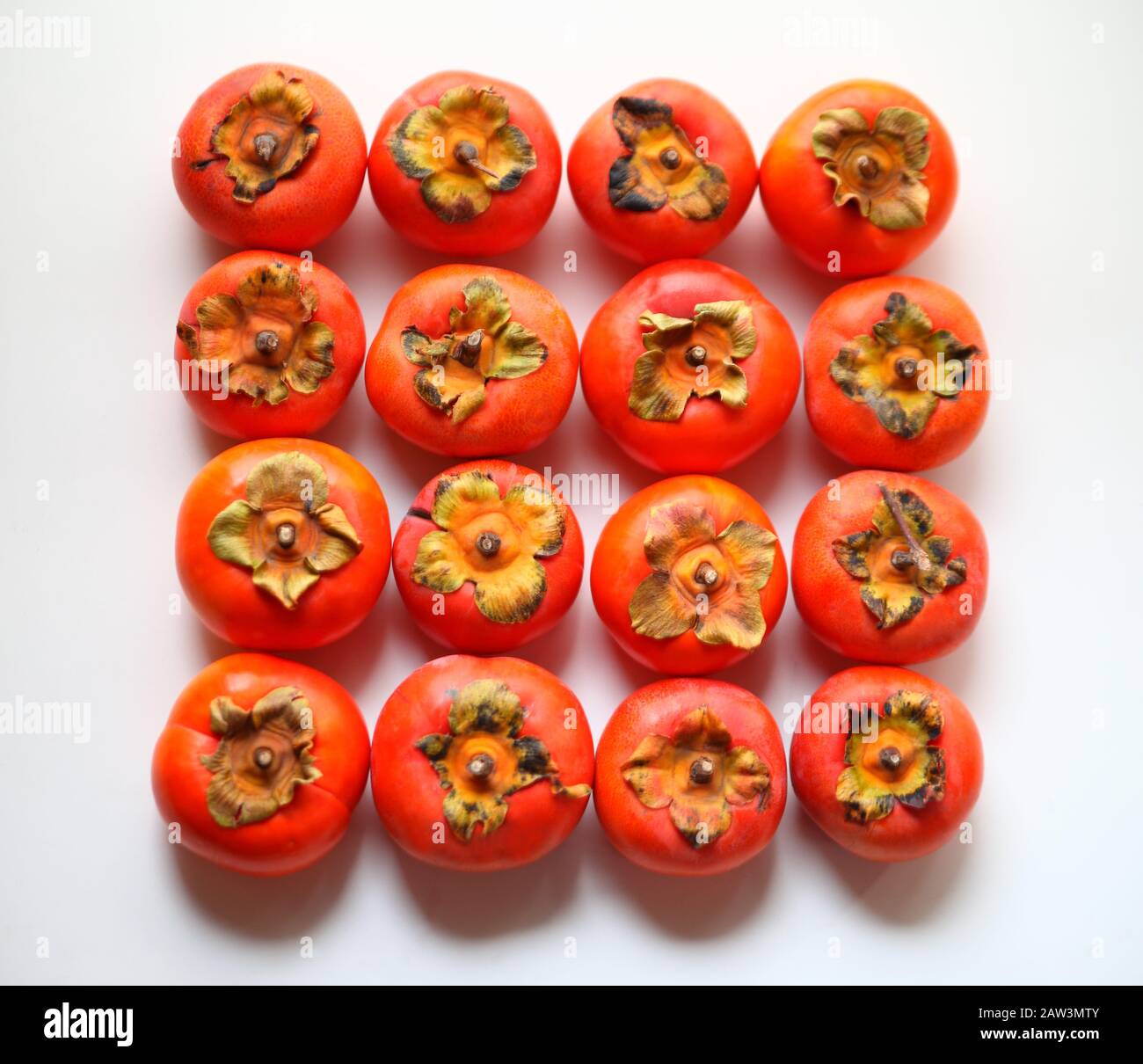 Many brightly-colored fruits in rows on white Stock Photo - Alamy