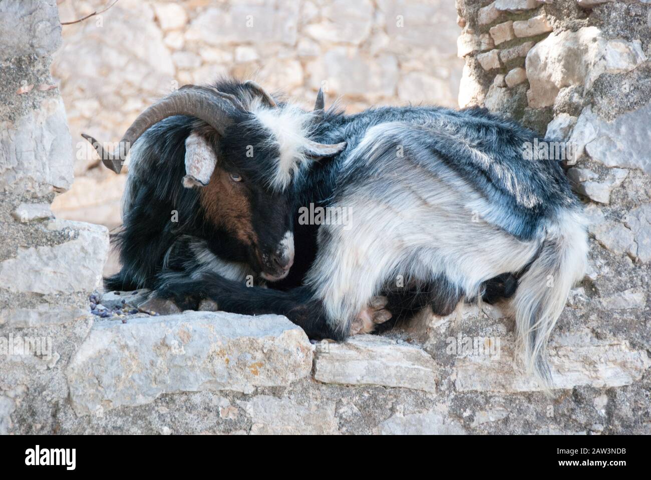 Turkish gullet fethiye hi-res stock photography and images - Alamy