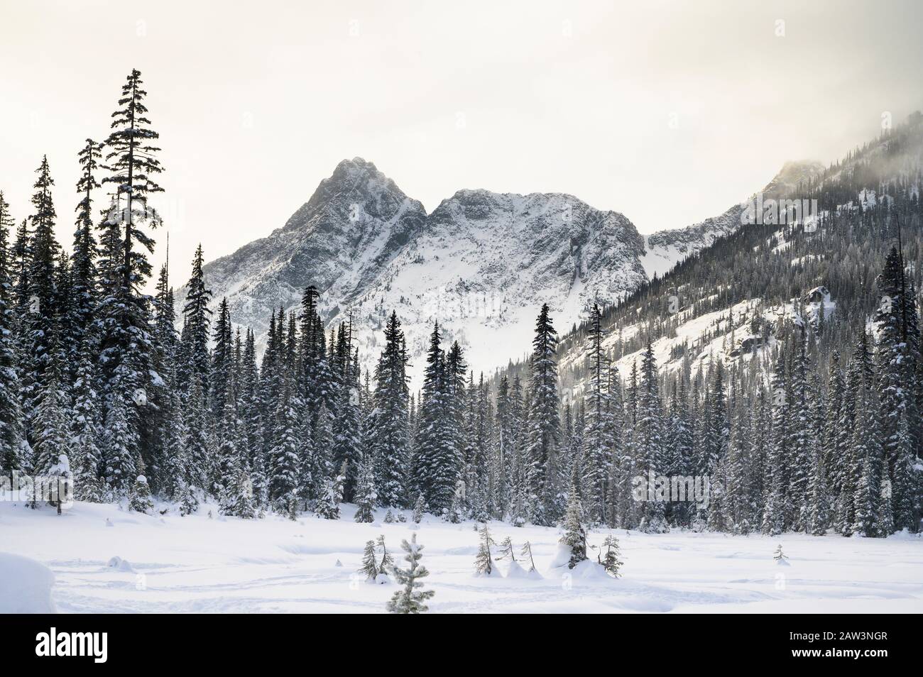 Snow Covered Mountains In The North Cascades Stock Photo - Alamy