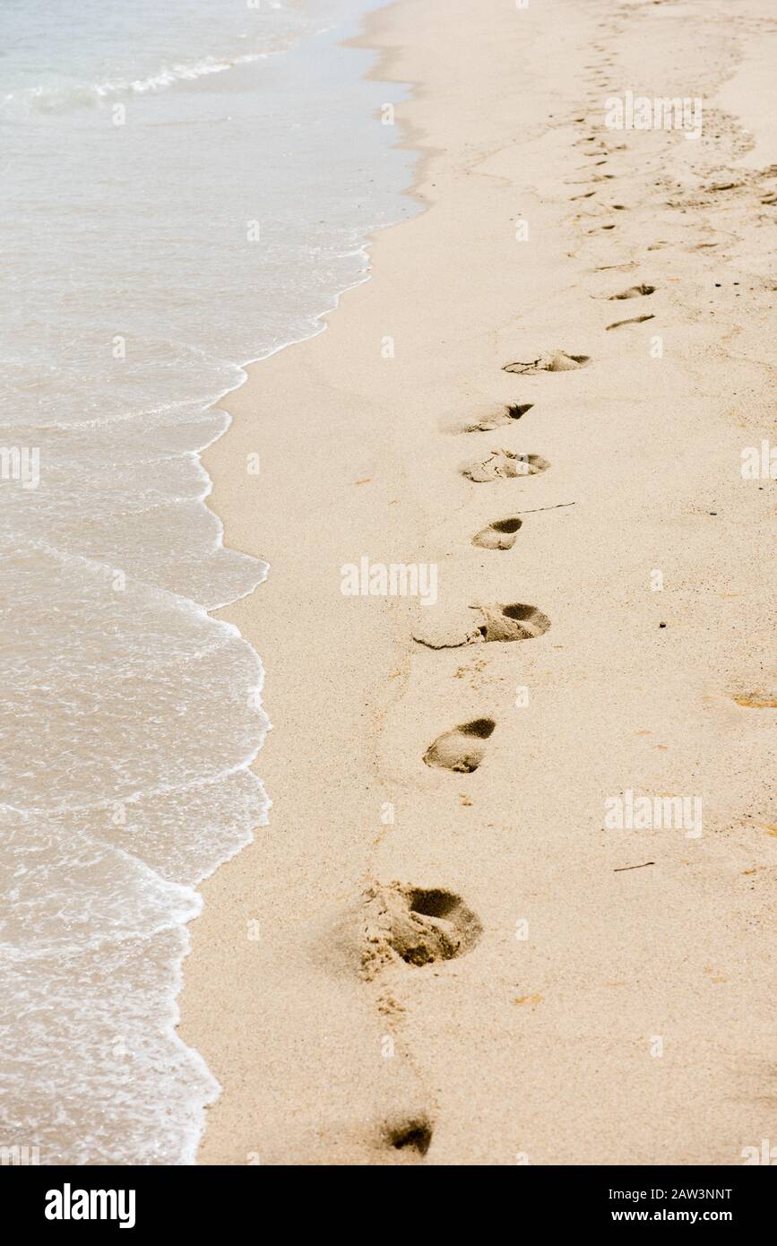 Footprints in the sand along an isolated beach Stock Photo - Alamy