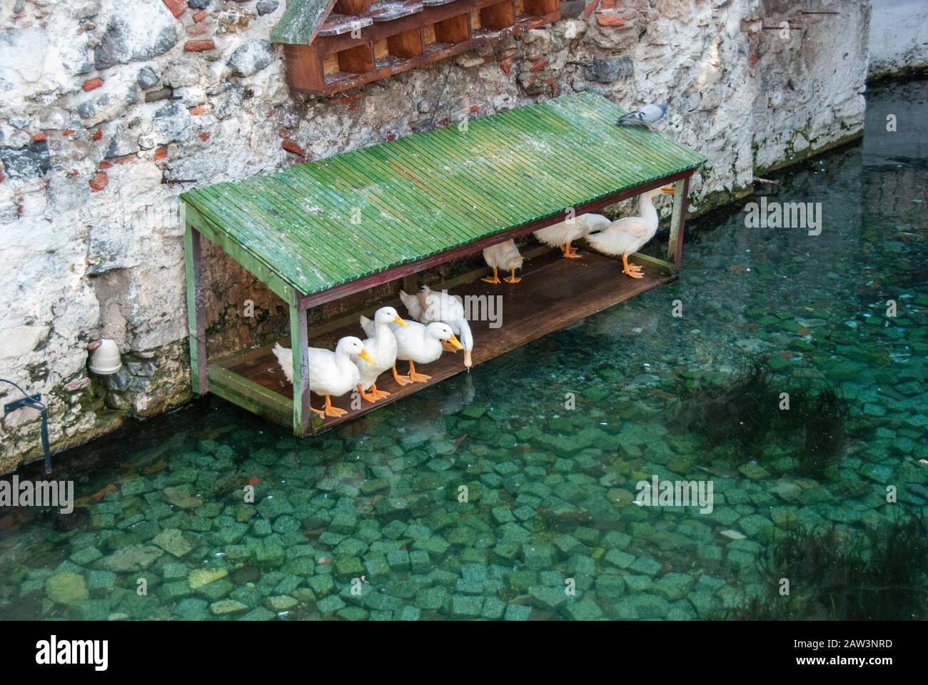 Gullet trip on Turkish coast Stock Photo - Alamy