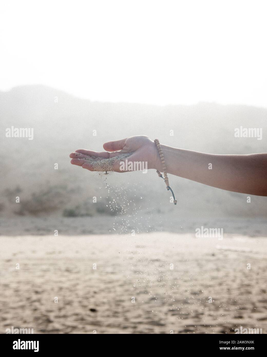 The beachcomber cape cod hi-res stock photography and images - Alamy