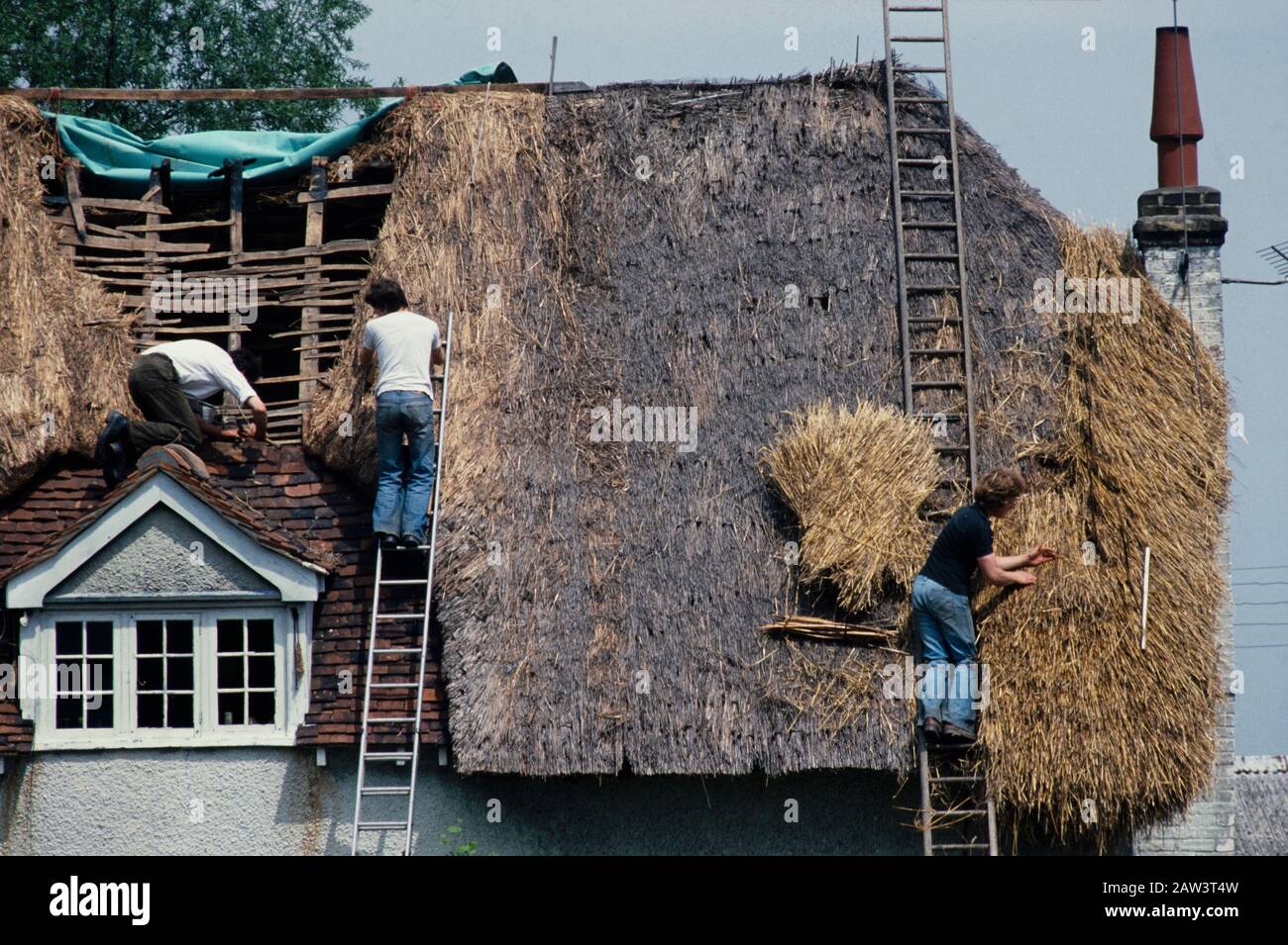 Essex England Thatching a country House 1979 Stock Photo - Alamy