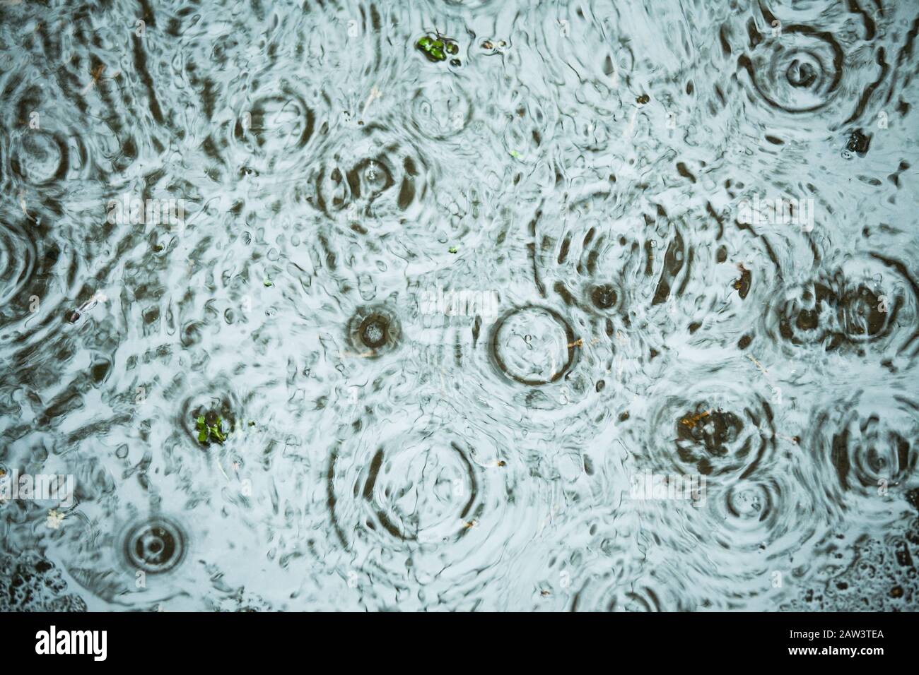 Rain drops rippling in a puddle Stock Photo - Alamy