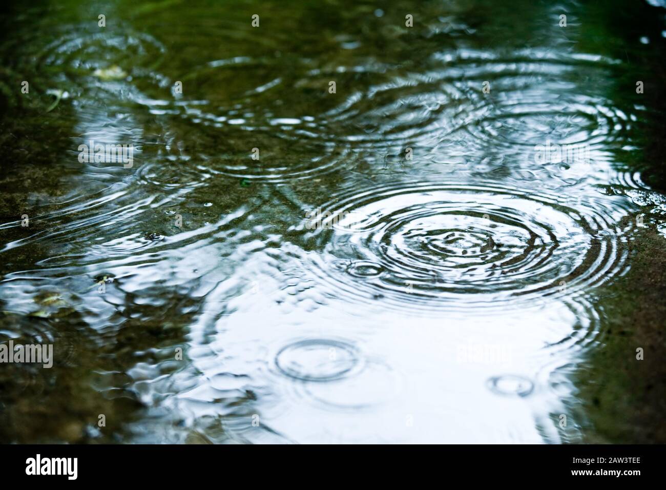 Rain drops rippling in a puddle Stock Photo - Alamy