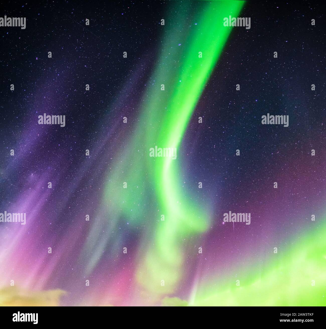 Aurora Borealis or Northern lights green and purple colors with starry ...