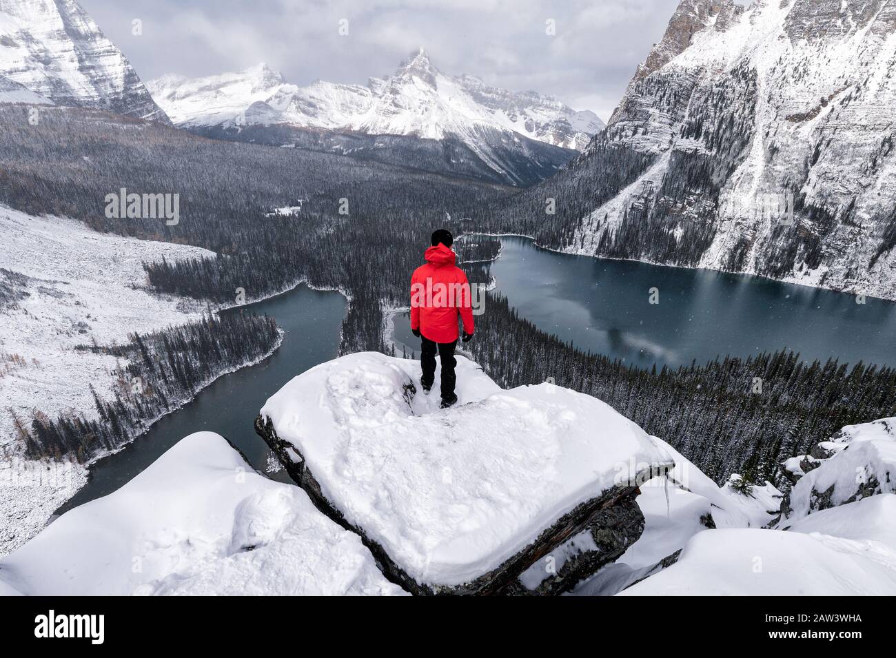 Traveler standing on rock over Opabin Plateau with lake O'hara in ...