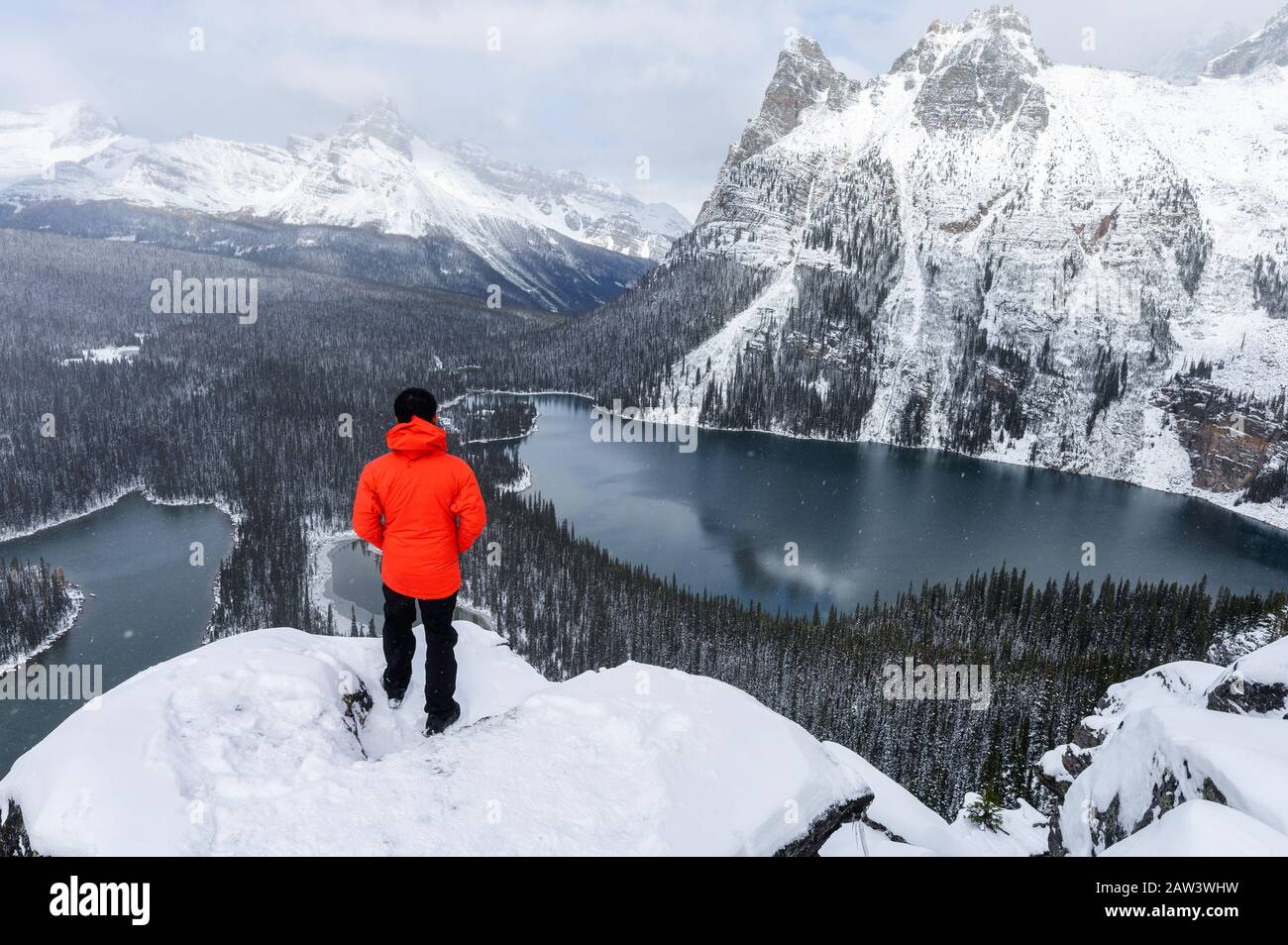 Traveler standing on Opabin Plateau with lake O'hara in snowing day at ...