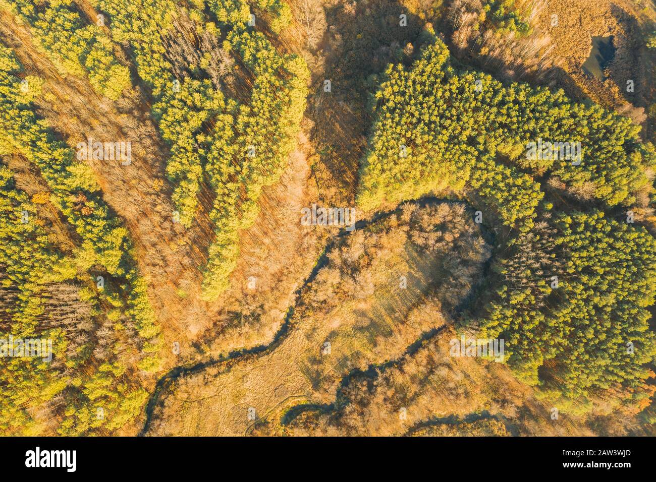 Aerial View Green Forest In Deforestation Area Landscape. Top View Of ...