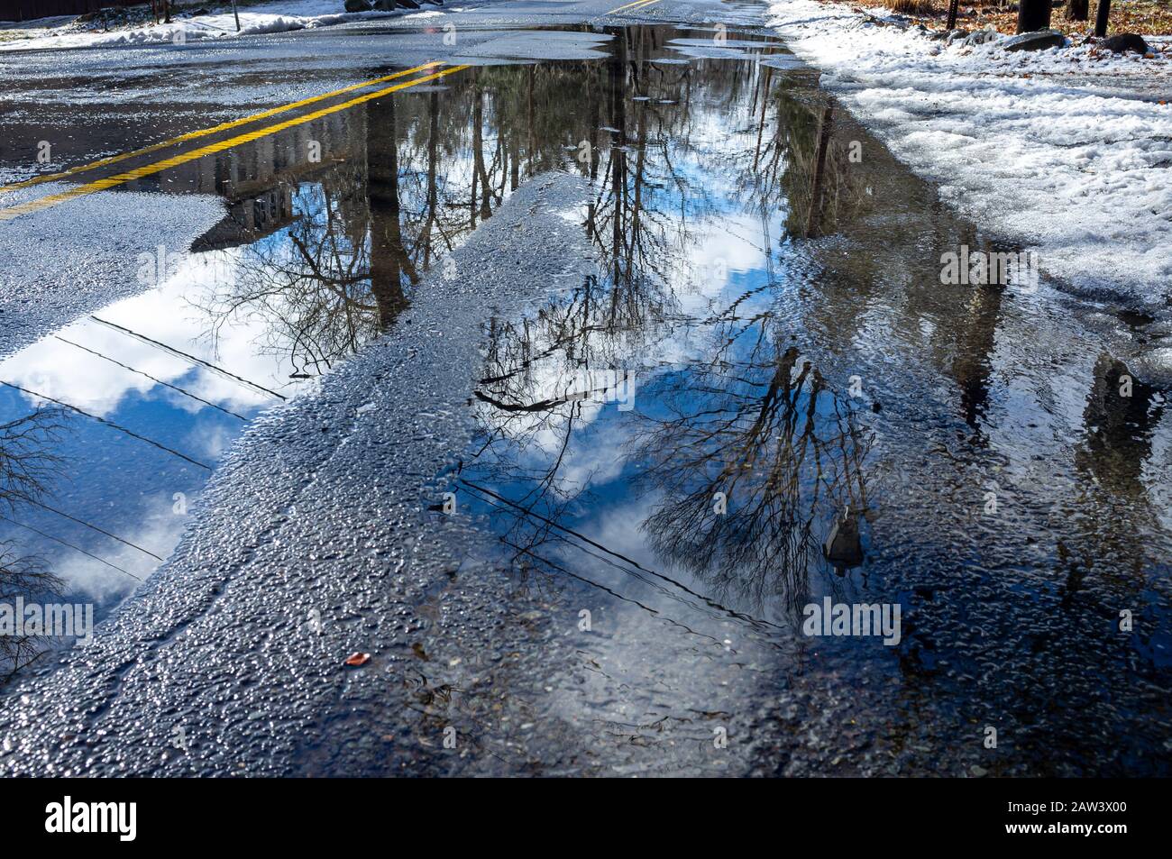 reflection of trees on melted snow on the road Stock Photo - Alamy