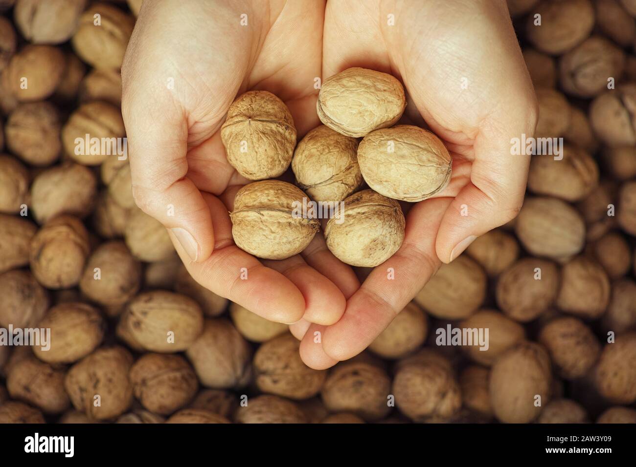 Person holding walnuts in her hands. Close up Stock Photo - Alamy