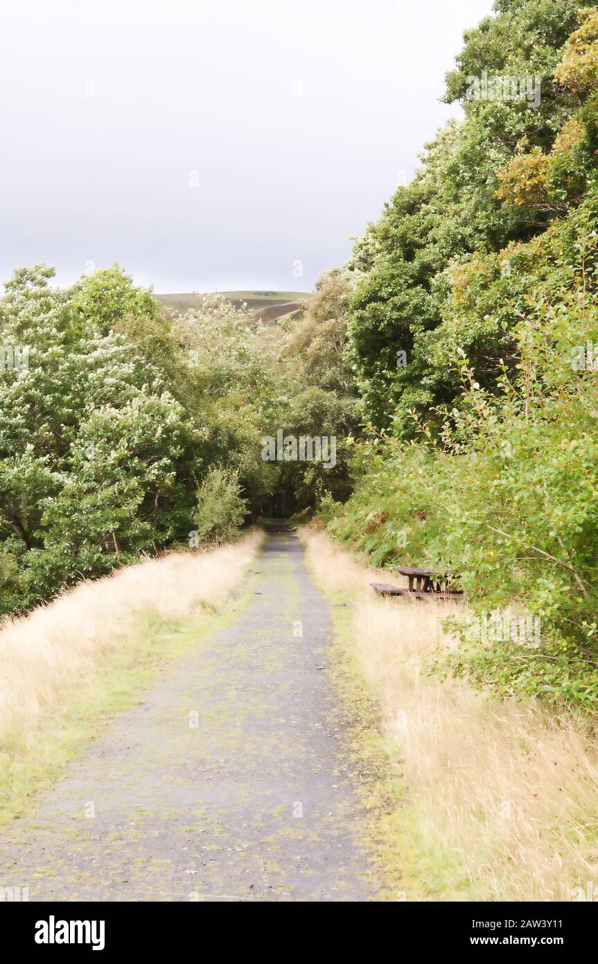 Pathway, walkway, at the Elan Valley, Powys, Wales Stock Photo - Alamy