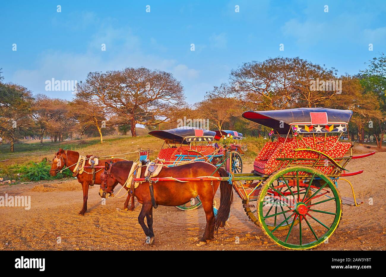 The horse-drawn carriages are popular tourist transport in large Bagan ...