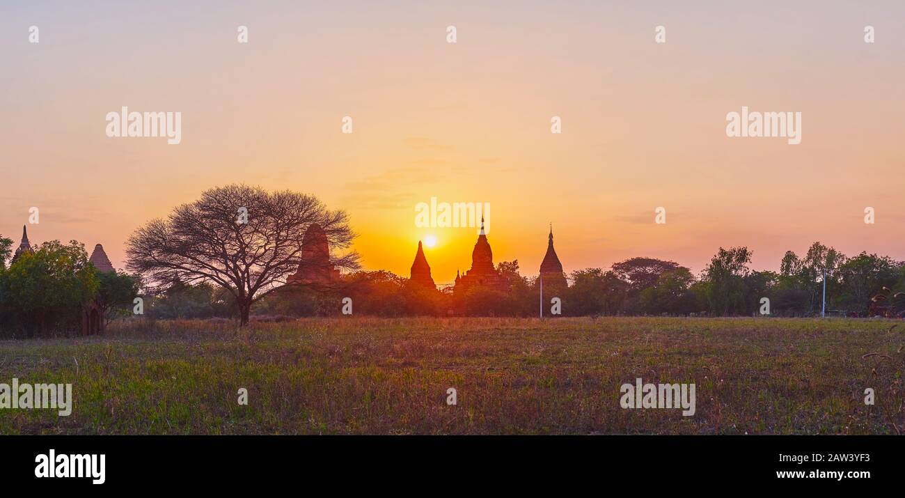 The sunset panorama of Bagan with dry meadow, spread trees and tall ...